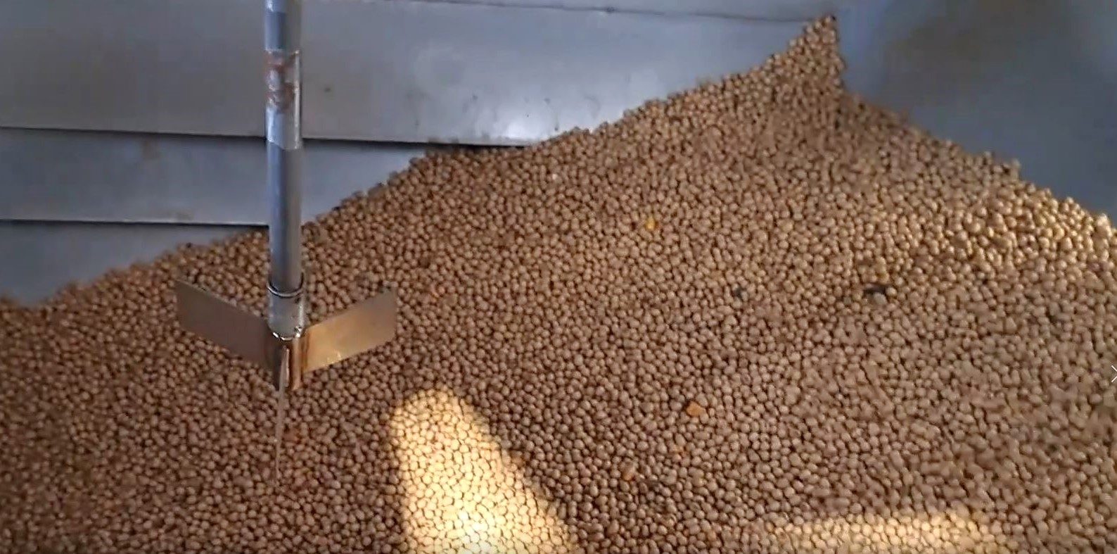 Why Roast SoyBeans? - A.N. Martin Systems